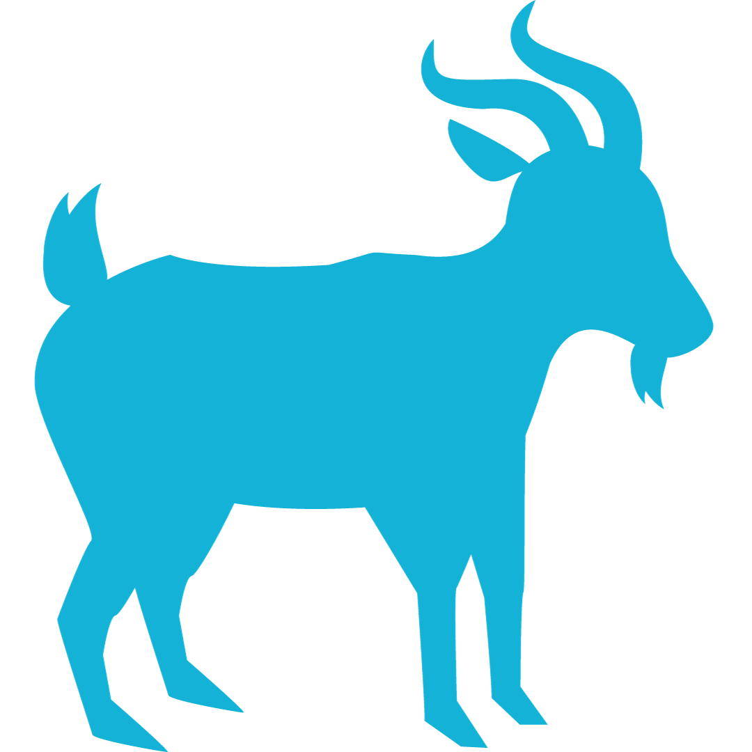 サービス | 株式会社GOAT